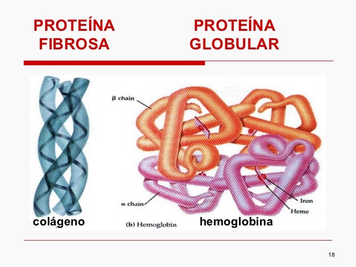 Biologia proteinas