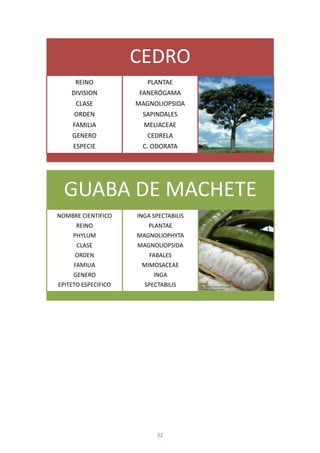 Biologia proyecto final | DOCX