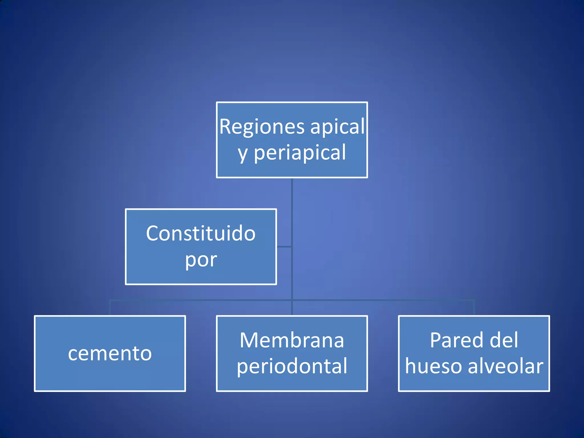 Biologia pulpar,histologia pulpar normal | PDF