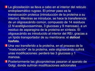 Biologia sistem.endomembran. | PPT