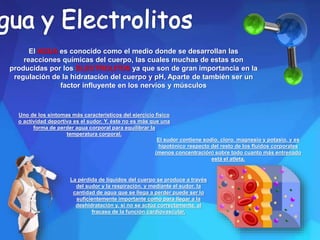 Líquidos y Electrolitos Corporales | PPTX