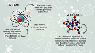 Biologia y conducta | PPTX