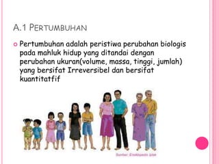 Biologi Bab 1 (Pertumbuhan dan Perkembangan).pptx
