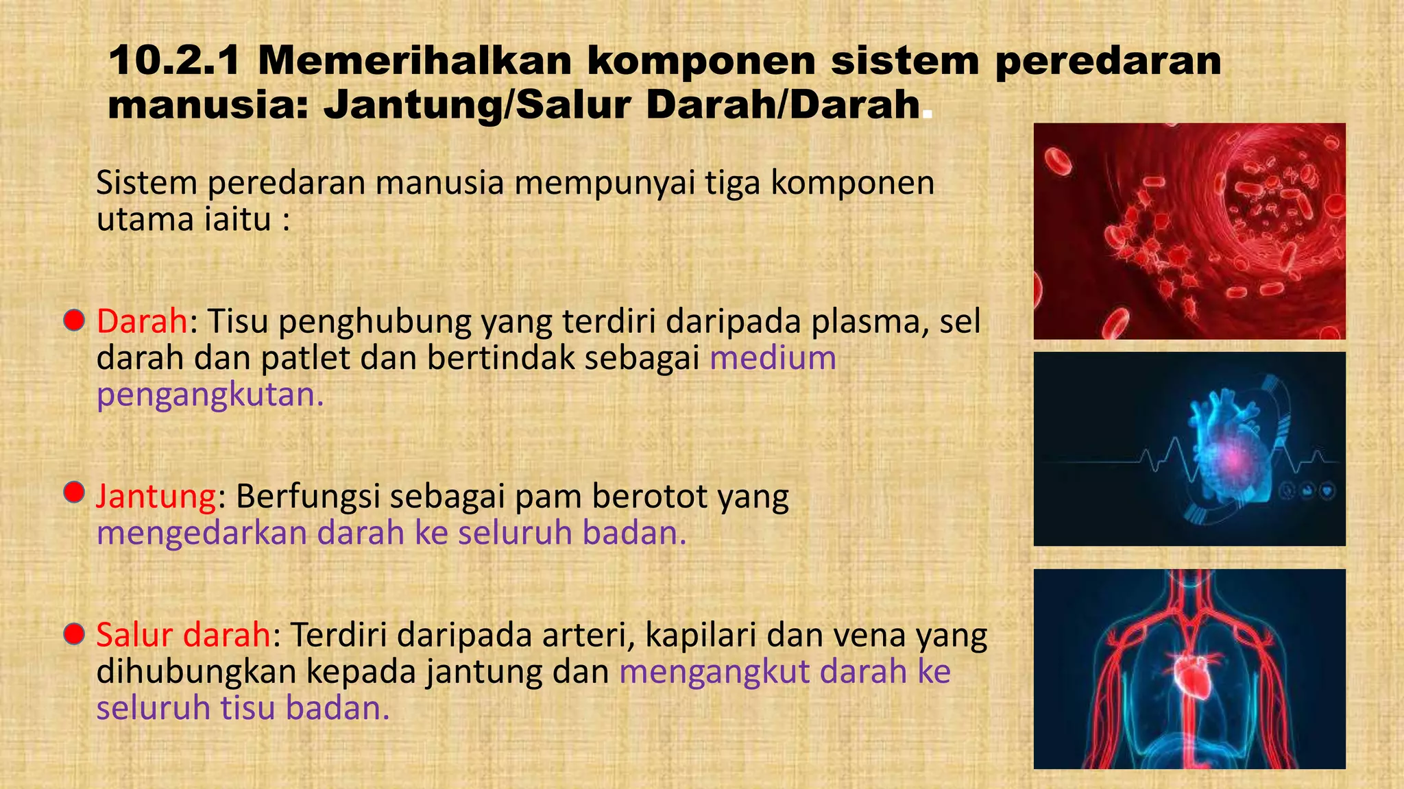 BIOLOGI BAB 10.2.1 Struktur Jantung.pptx