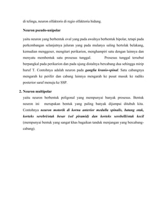 sistem saraf manusia | DOCX