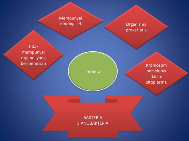 Biologi Tingkatan 4 bab 8.4 Biokepelbagaian | PPT