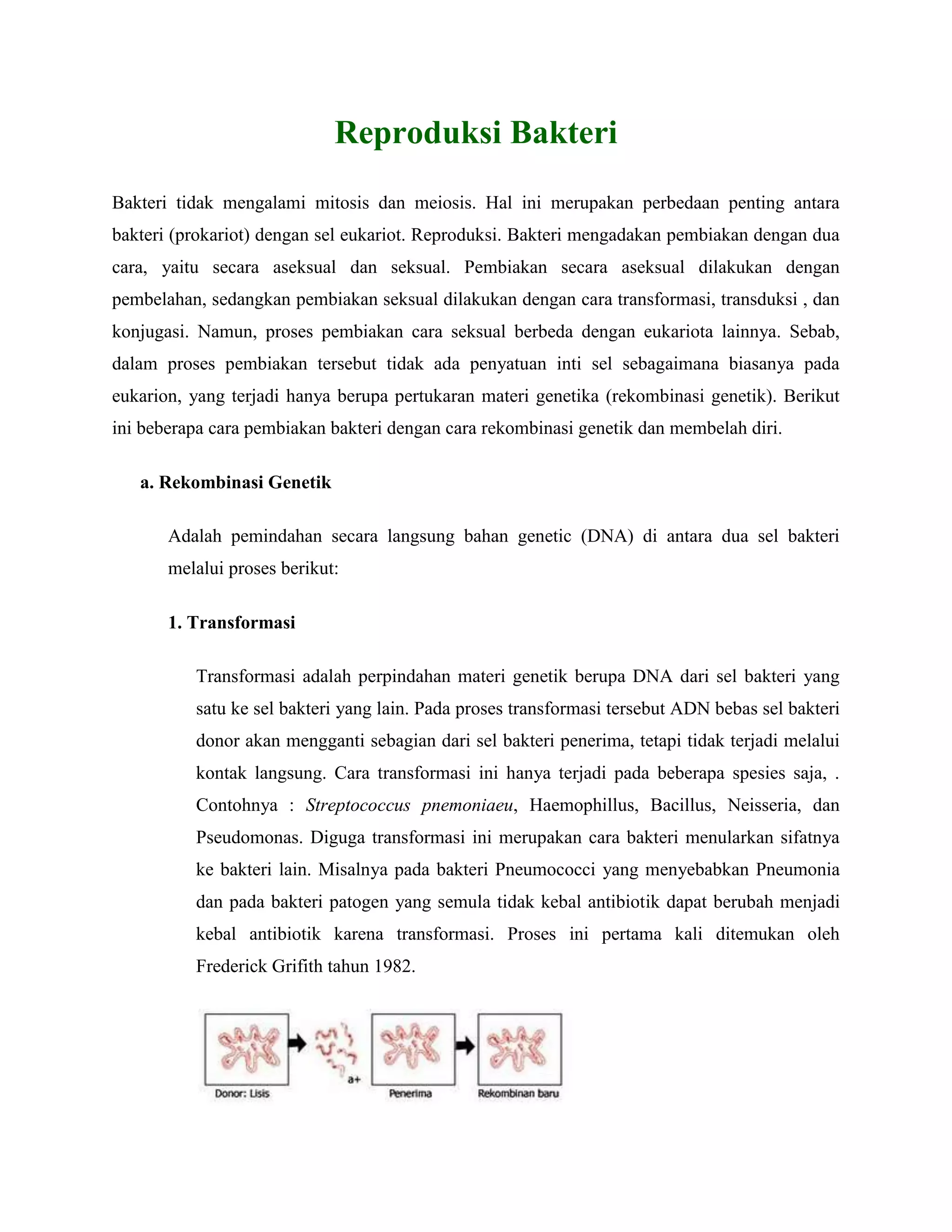 Biologi bakteri | PDF