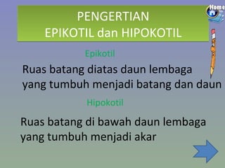 Biologi kelas 12 ipa 2 komplit | PPS
