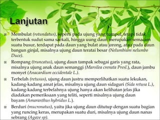 Biologi bismillah new | PPT