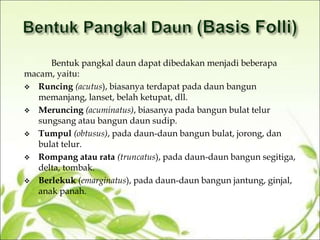 Biologi bismillah new | PPT