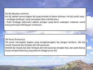 Materi Biologi Buah dan Biji | PPTX