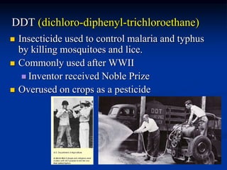 Biological amplification | PPT