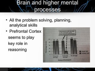Biological basis of psychology | PPT