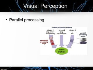 Biological basis of psychology | PPT