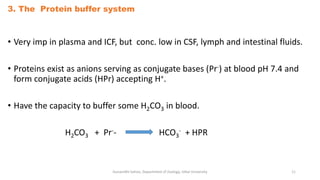 Biochemistry BIOLOGICAL-BUFFER-SYSTEMS. | PDF