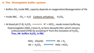Biochemistry BIOLOGICAL-BUFFER-SYSTEMS. | PDF