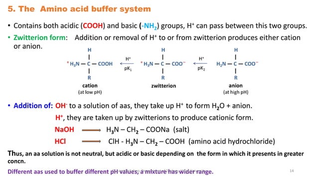 Biochemistry BIOLOGICAL-BUFFER-SYSTEMS. | PDF | Chemistry | Science