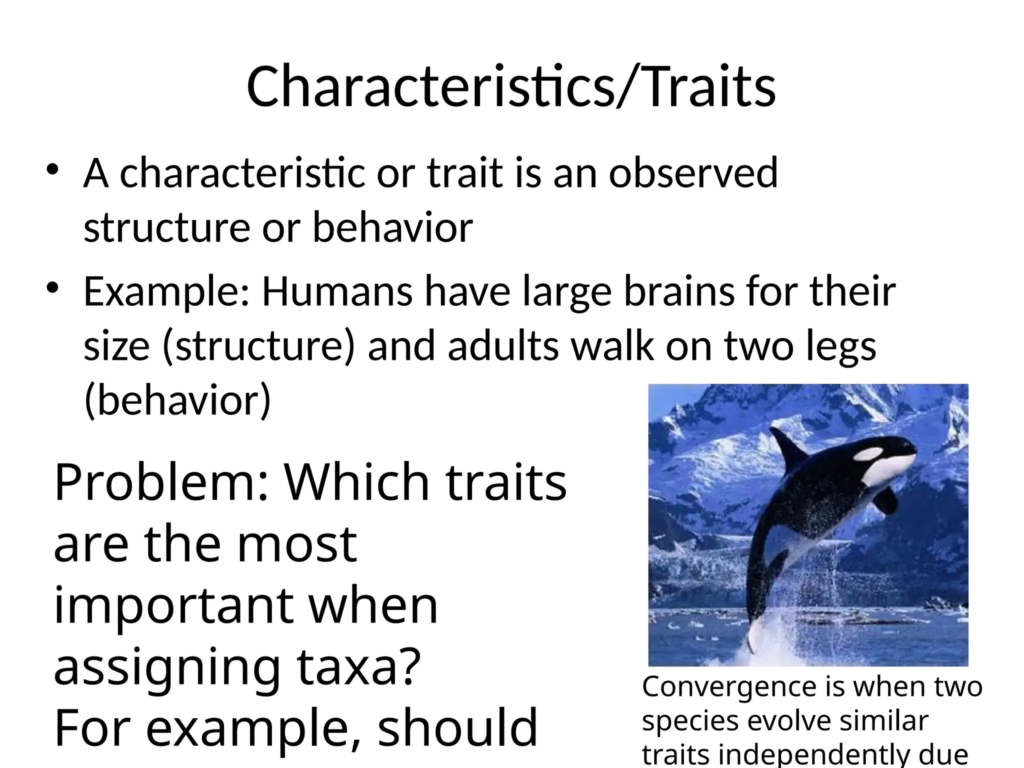 Biological-Classification.pptx powerpoint on | PPTX