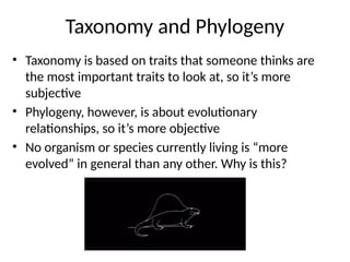Biological-Classification.pptx powerpoint on | PPTX
