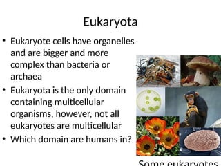 Biological-Classification.pptx powerpoint on | PPTX