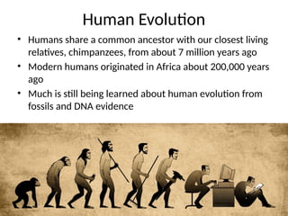 Biological-Classification.pptx powerpoint on | PPTX