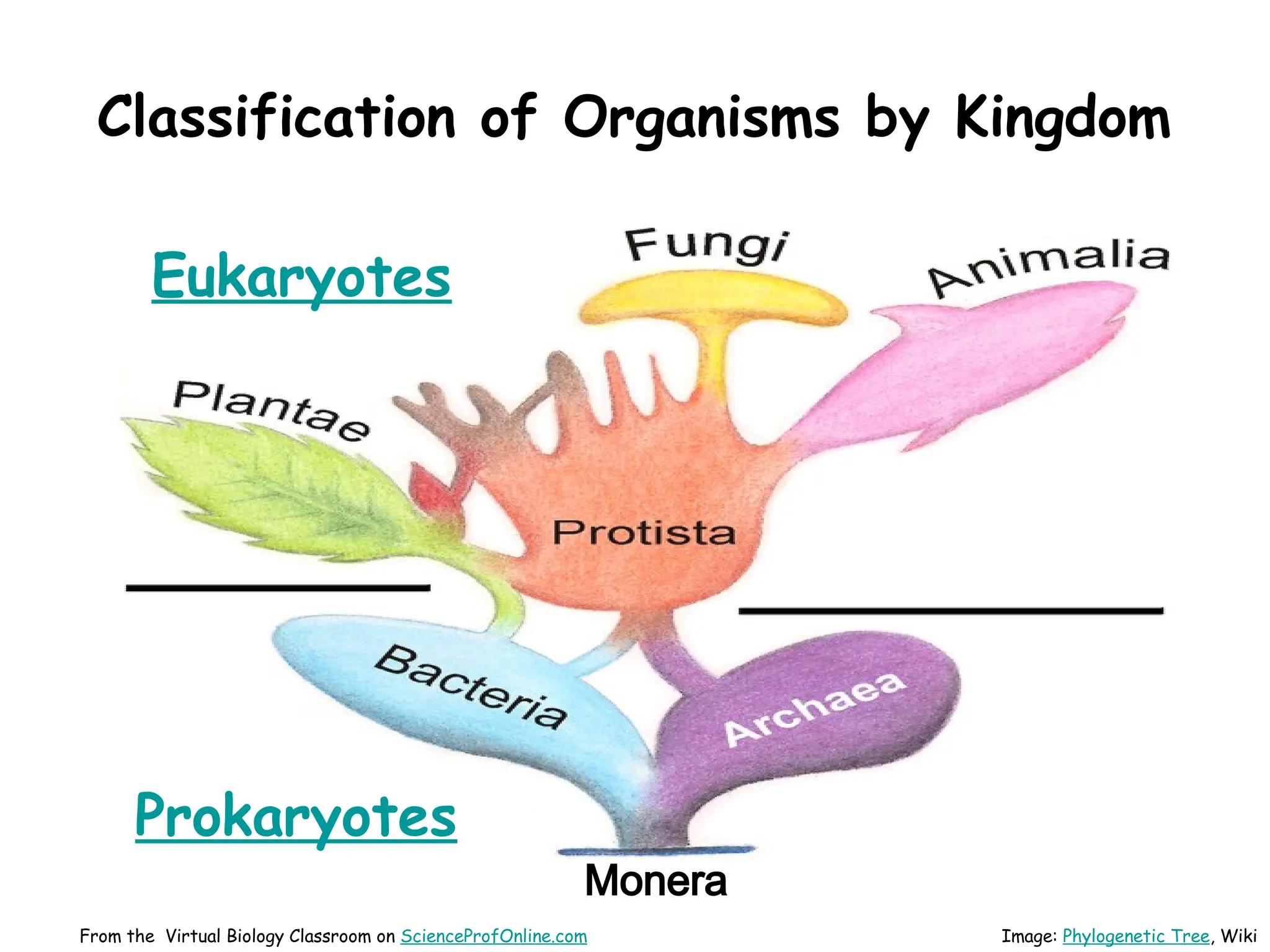 Biological.................-Classification-Scientific-Taxonomy-Lecture-PowerPoint-VMCct.pptx