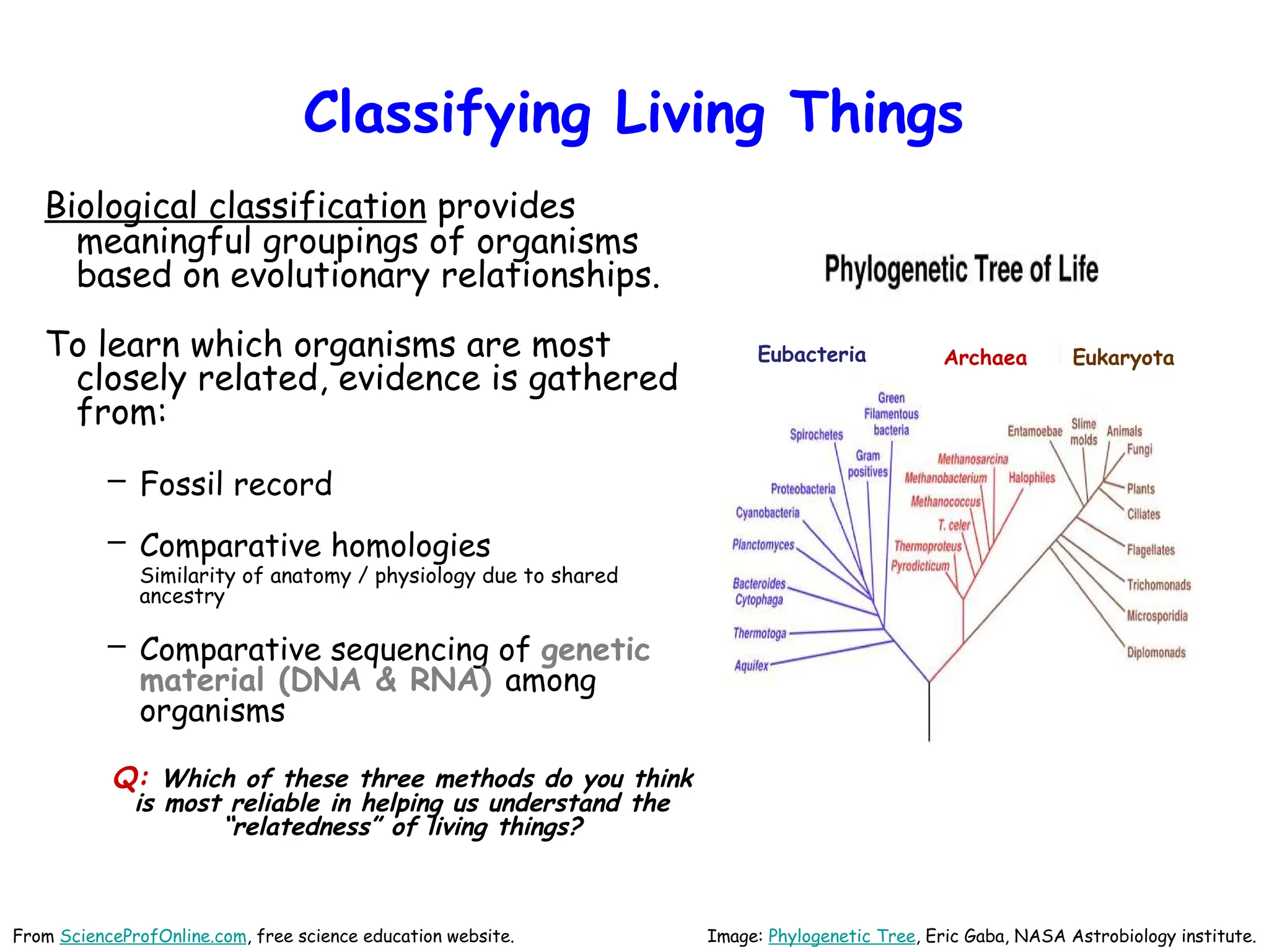 Biological.................-Classification-Scientific-Taxonomy-Lecture-PowerPoint-VMCct.pptx