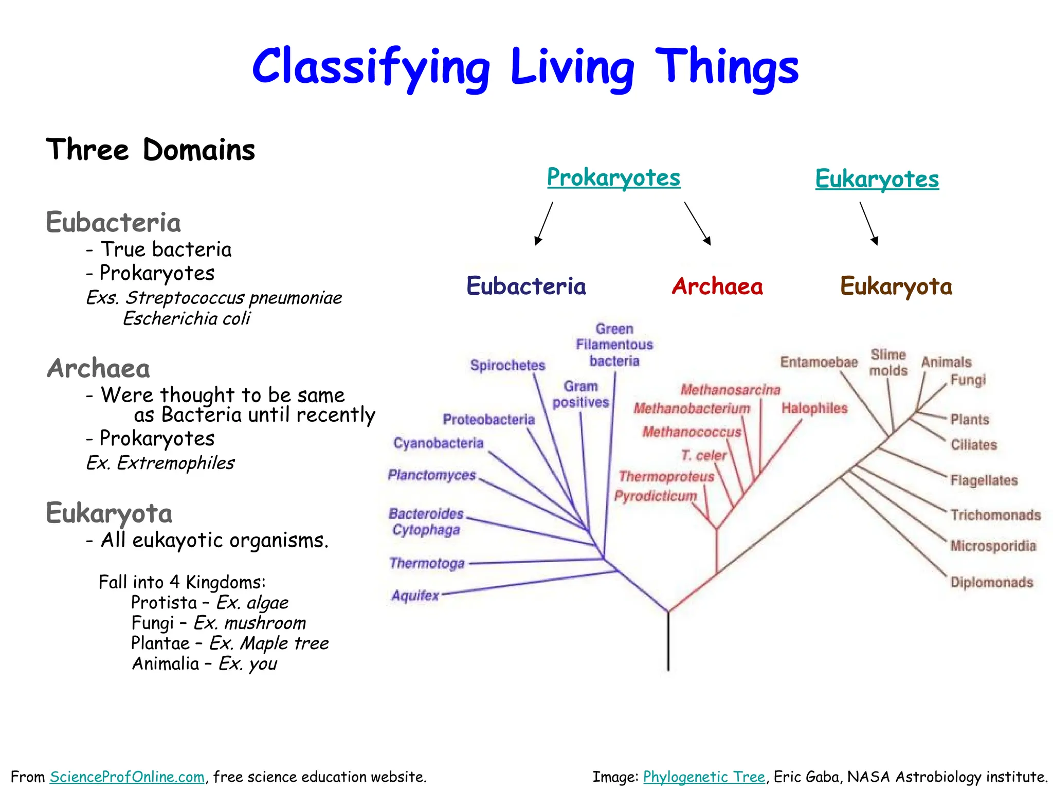 Biological.................-Classification-Scientific-Taxonomy-Lecture-PowerPoint-VMCct.pptx