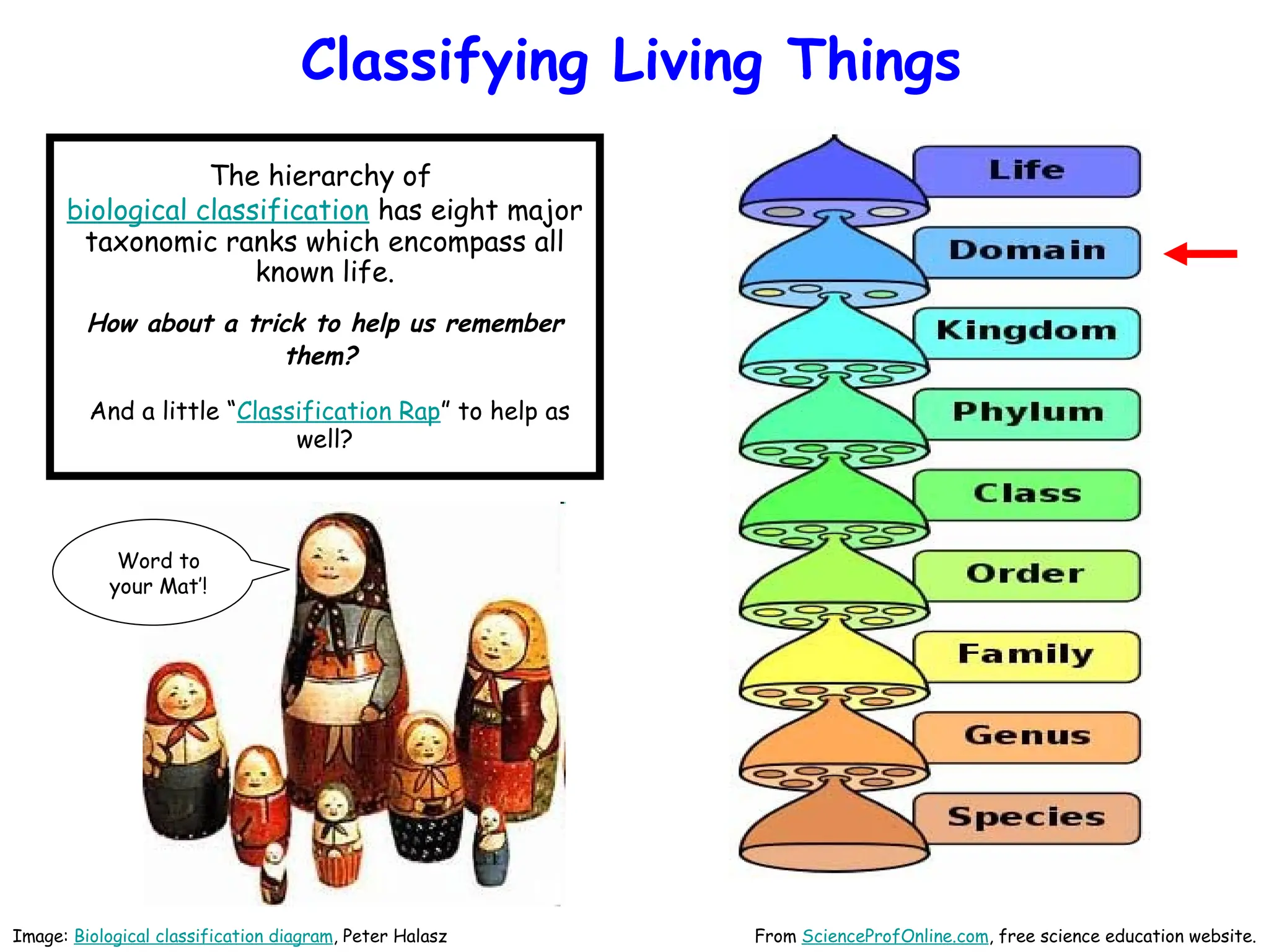 Biological.................-Classification-Scientific-Taxonomy-Lecture ...