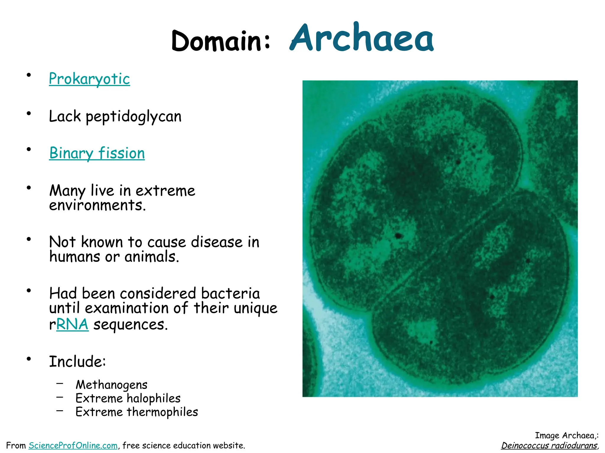 Biological.................-Classification-Scientific-Taxonomy-Lecture-PowerPoint-VMCct.pptx
