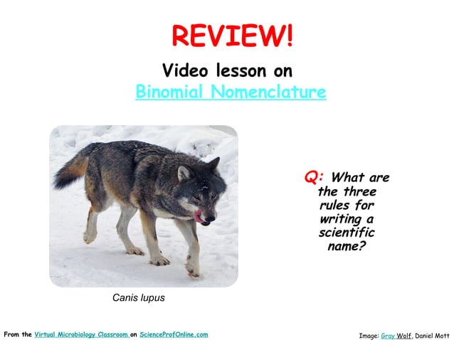 Biological.................-Classification-Scientific-Taxonomy-Lecture-PowerPoint-VMCct.pptx