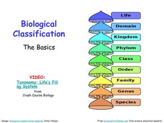 Biological.................-Classification-Scientific-Taxonomy-Lecture-PowerPoint-VMCct.pptx