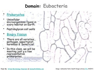 Biological.................-Classification-Scientific-Taxonomy-Lecture ...