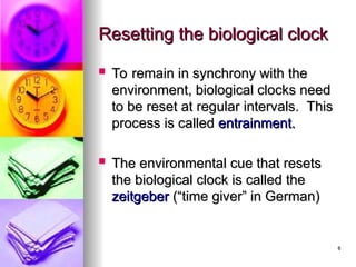 Biological Clocks, Slideshow about biological clocks for biology class ...