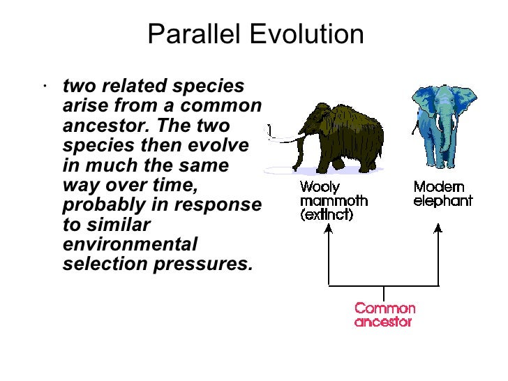 Biological Communities And Interaction
