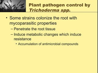 Biological-control-of-plant-pathogens.ppt