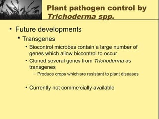 Biological-control-of-plant-pathogens.ppt