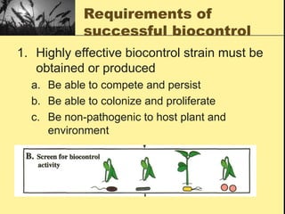 Biological-control-of-plant-pathogens.ppt