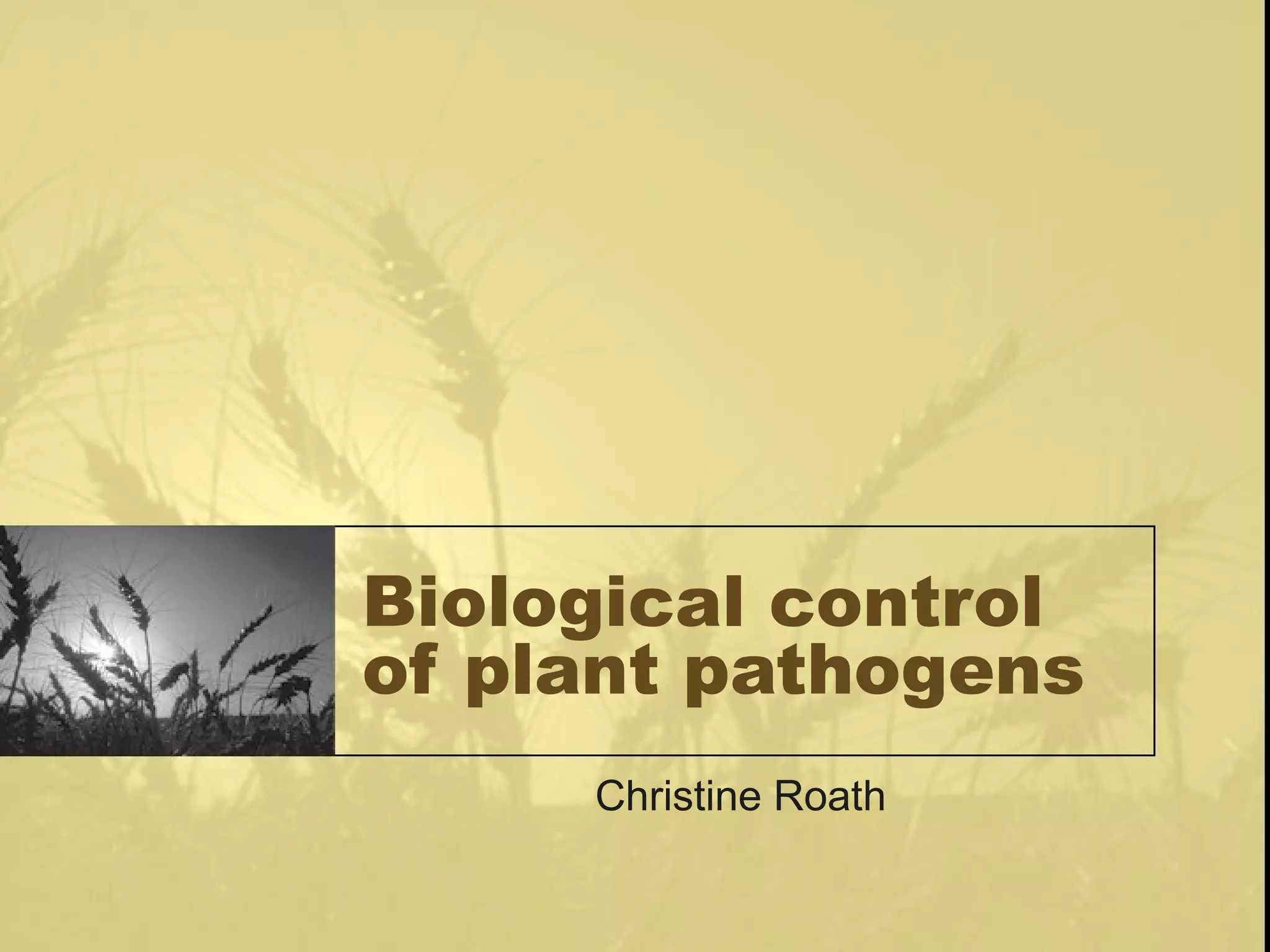 Biological control-plant pathogen | PPT