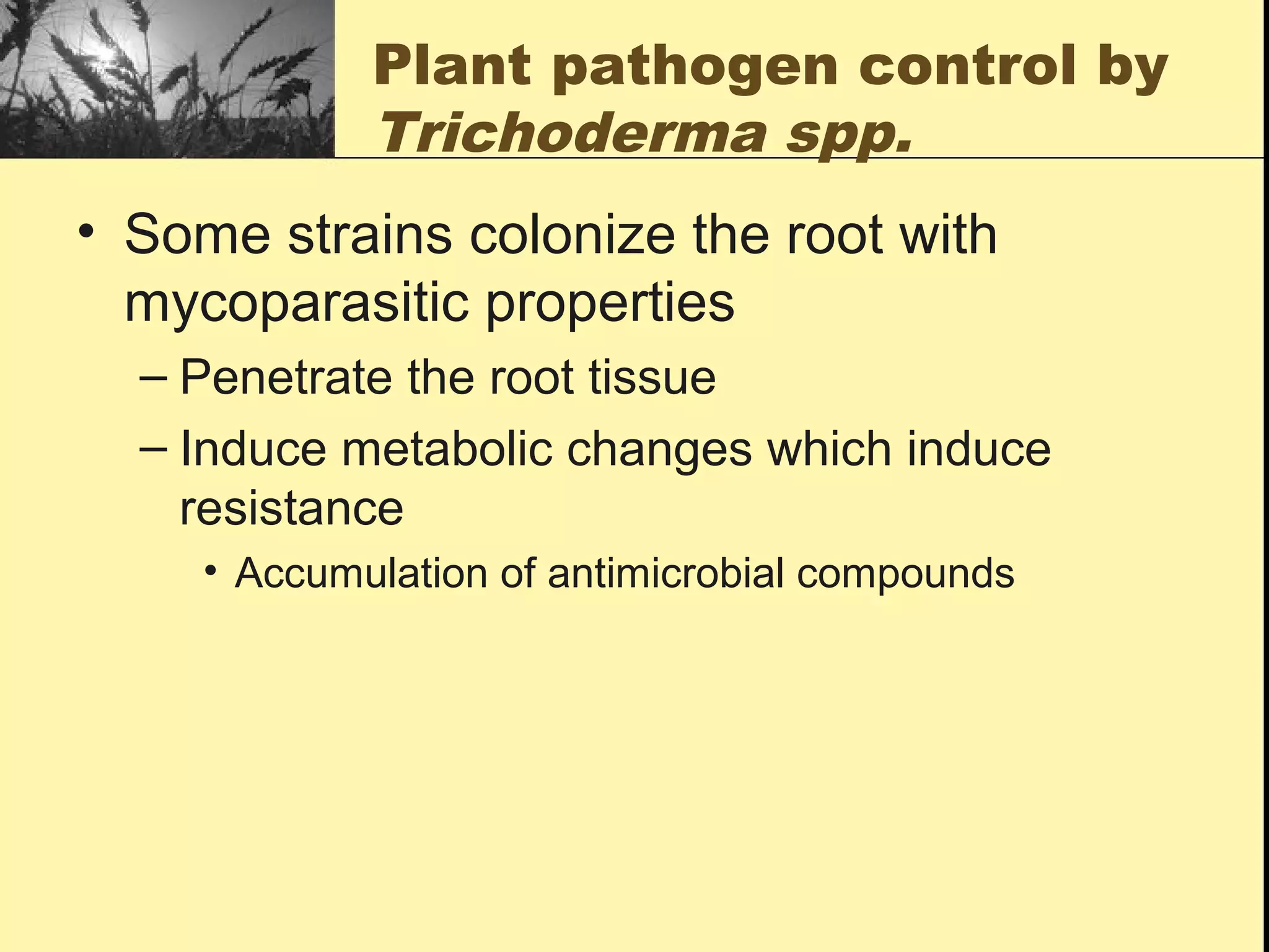 Biological control-plant pathogen | PPT