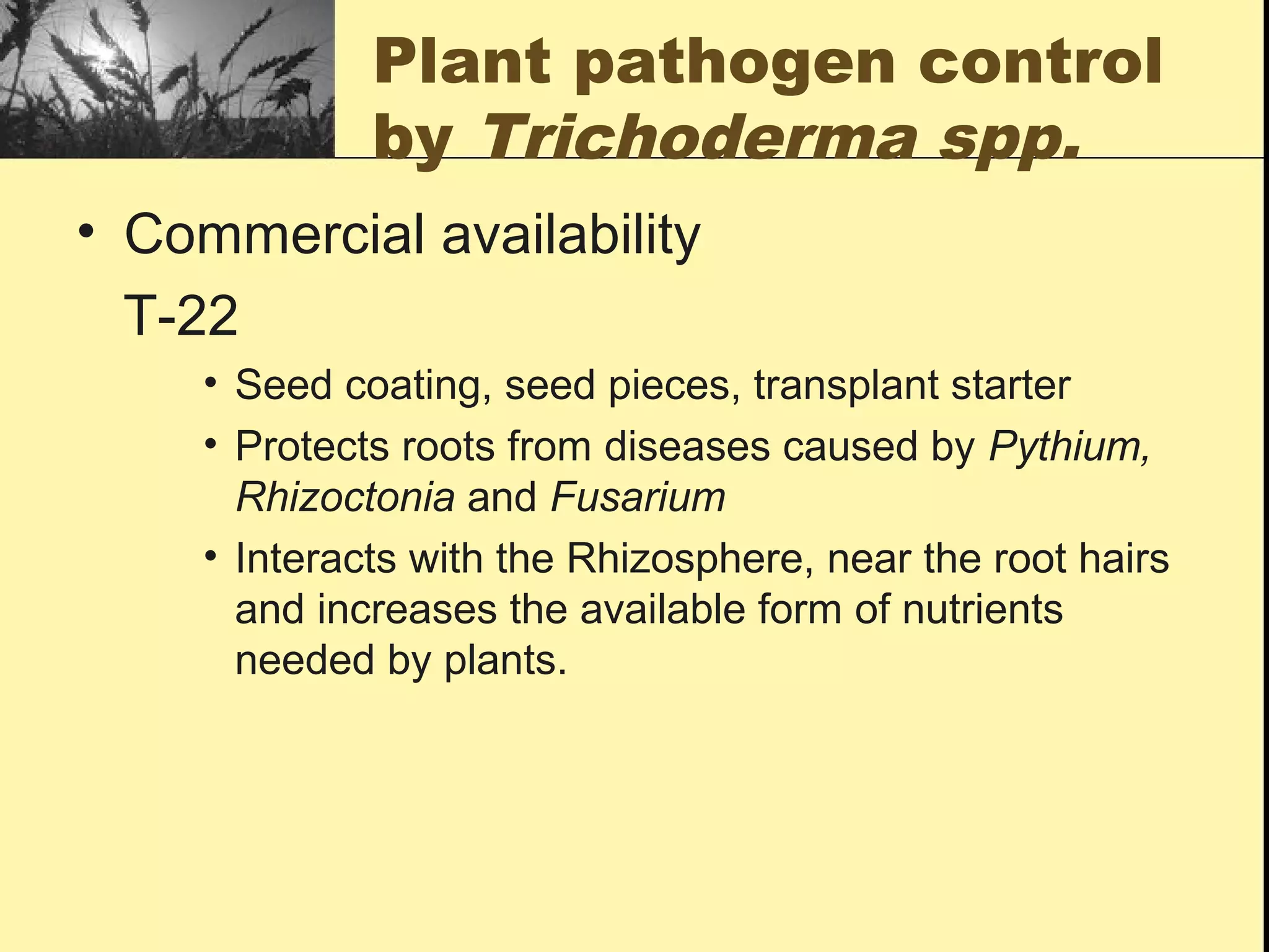 Biological control-plant pathogen | PPT
