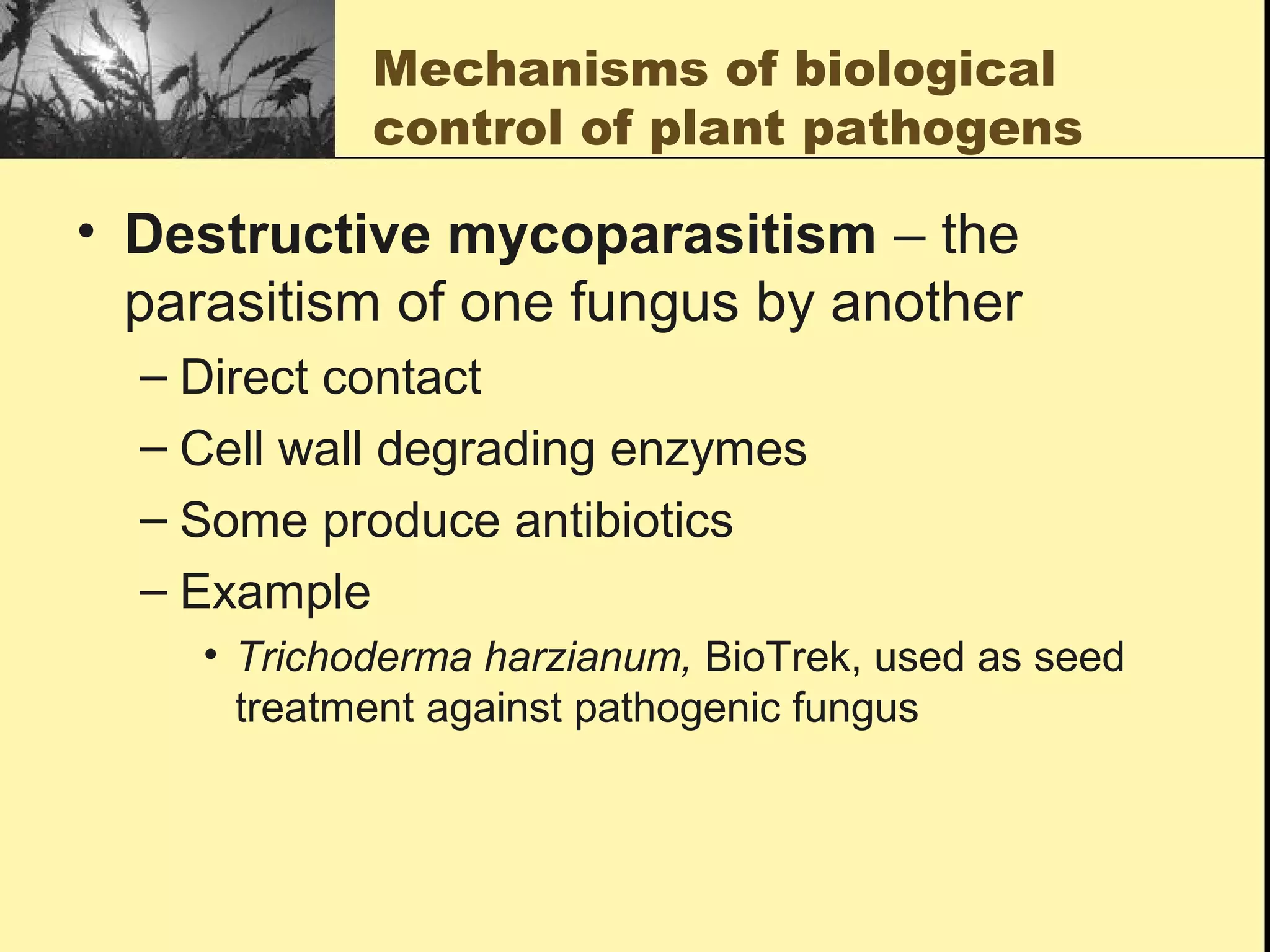 Biological control-plant pathogen | PPT