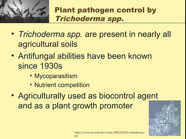 Biological control-plant pathogen | PPT