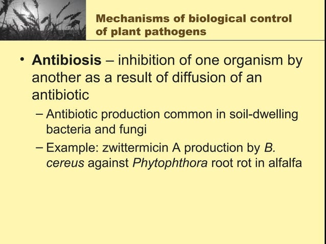 Biological control-plant pathogen | PPT