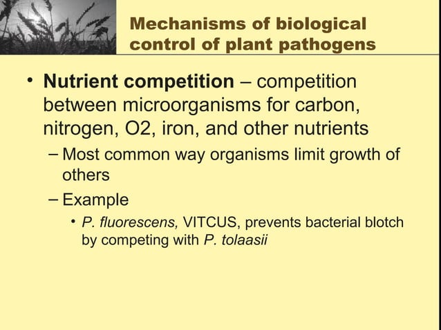 Biological control-plant pathogen | PPT