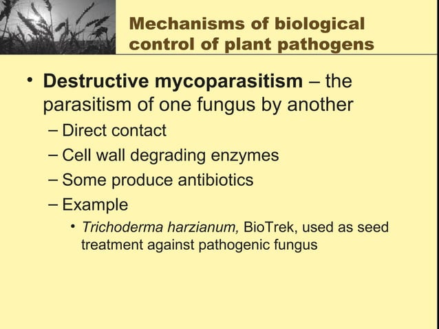 Biological control-plant pathogen | PPT