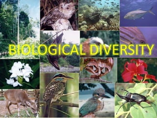Biological-Diversity.pptx