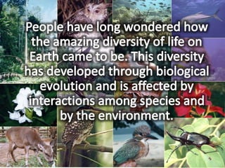 Biological-Diversity.pptx