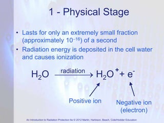 Biological-manifestations-of-radiation s | PPT