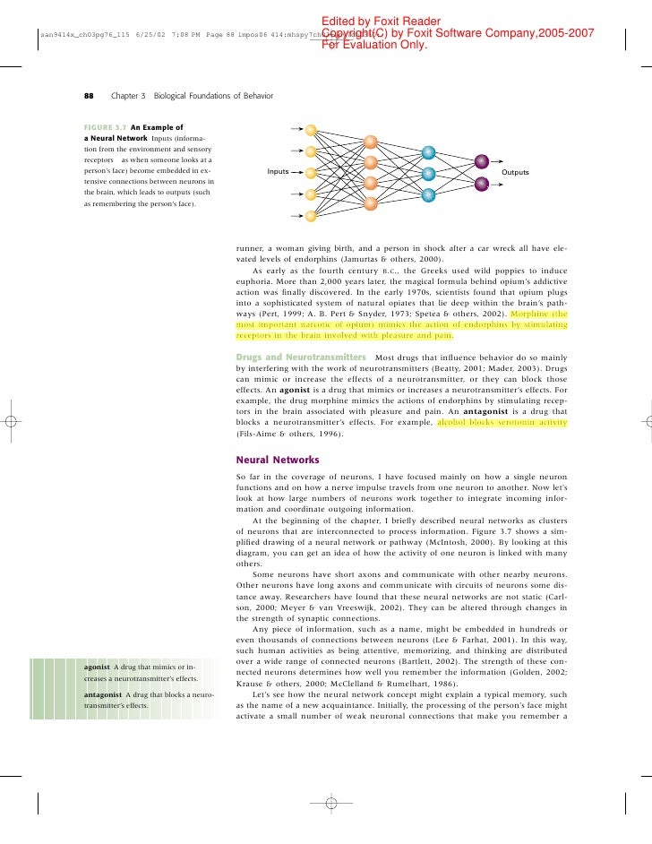 biological foundation of behaviour